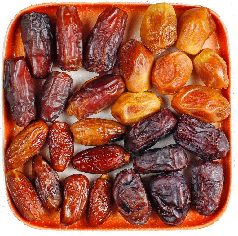 Datco – Dates from the world